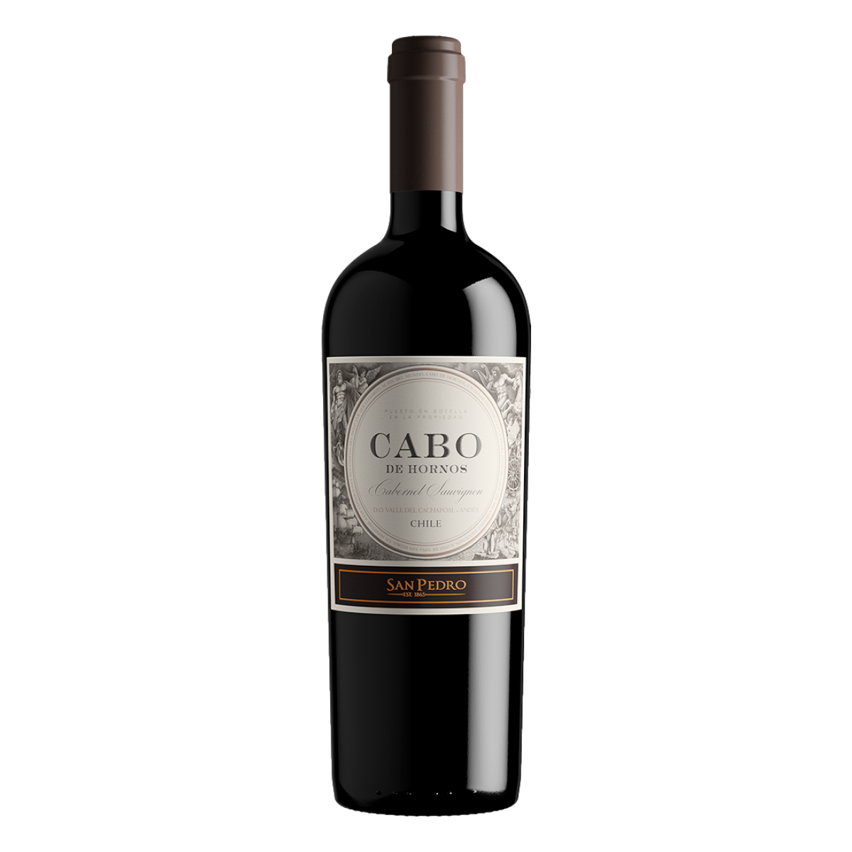 Vina San Pedro Cabo de Hornos Special Reserve 2018 | 8Wines DE